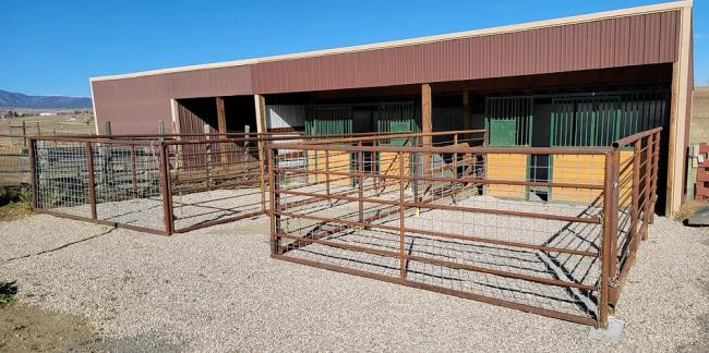 Rehabilitation Facility | Front Range Equine Performance